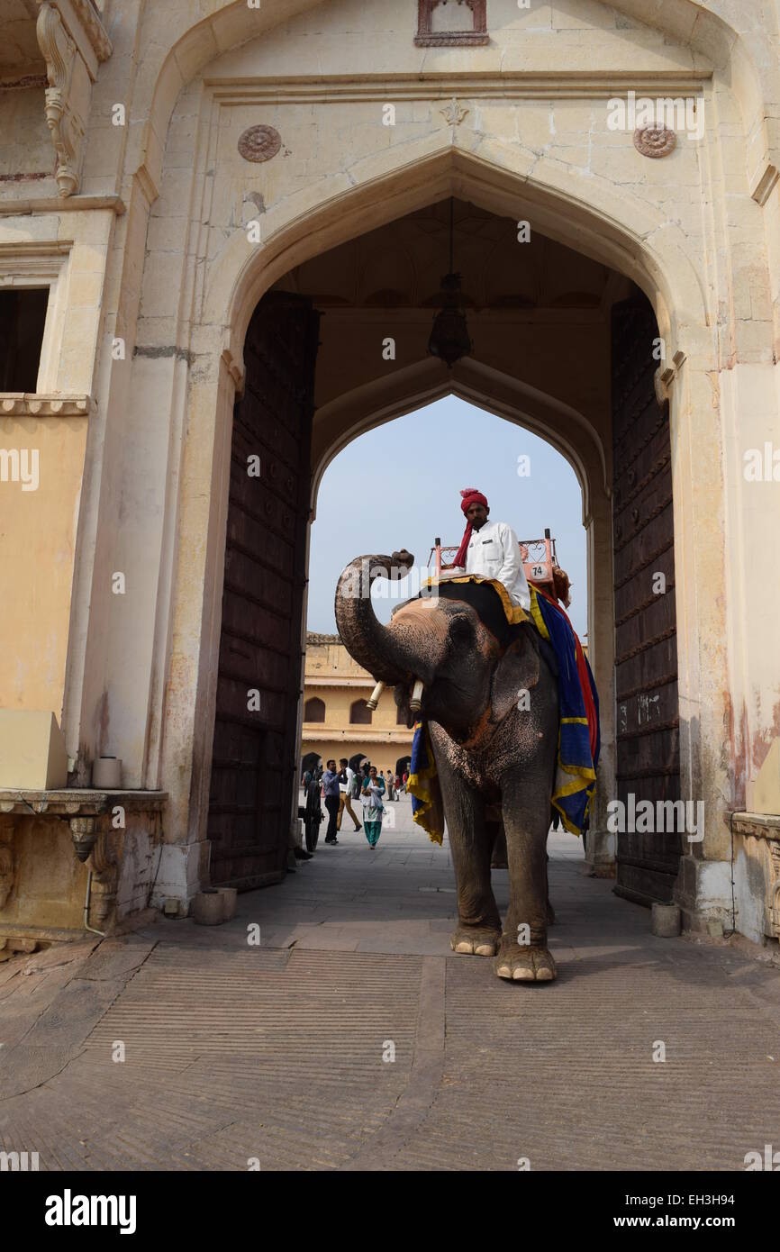 Welcoming Elephant coming through a Gate of Amer Fort Stock Photo - Alamy