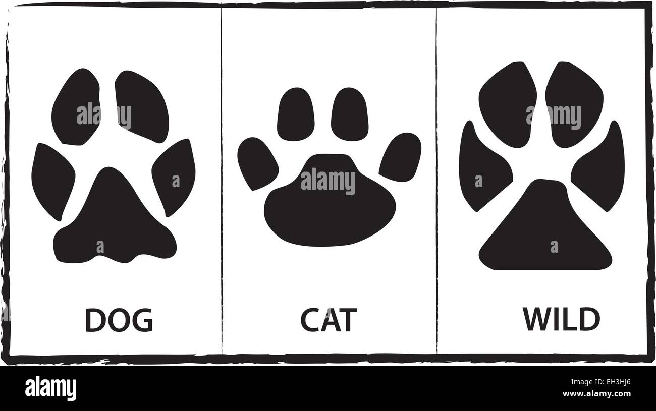 Paw prints in black Stock Vector Images - Alamy