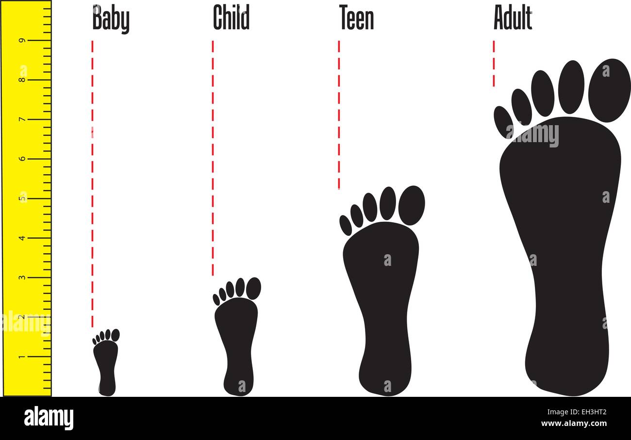 Human footprints in different sizes with yellow measure Stock Vector Image & Art - Alamy