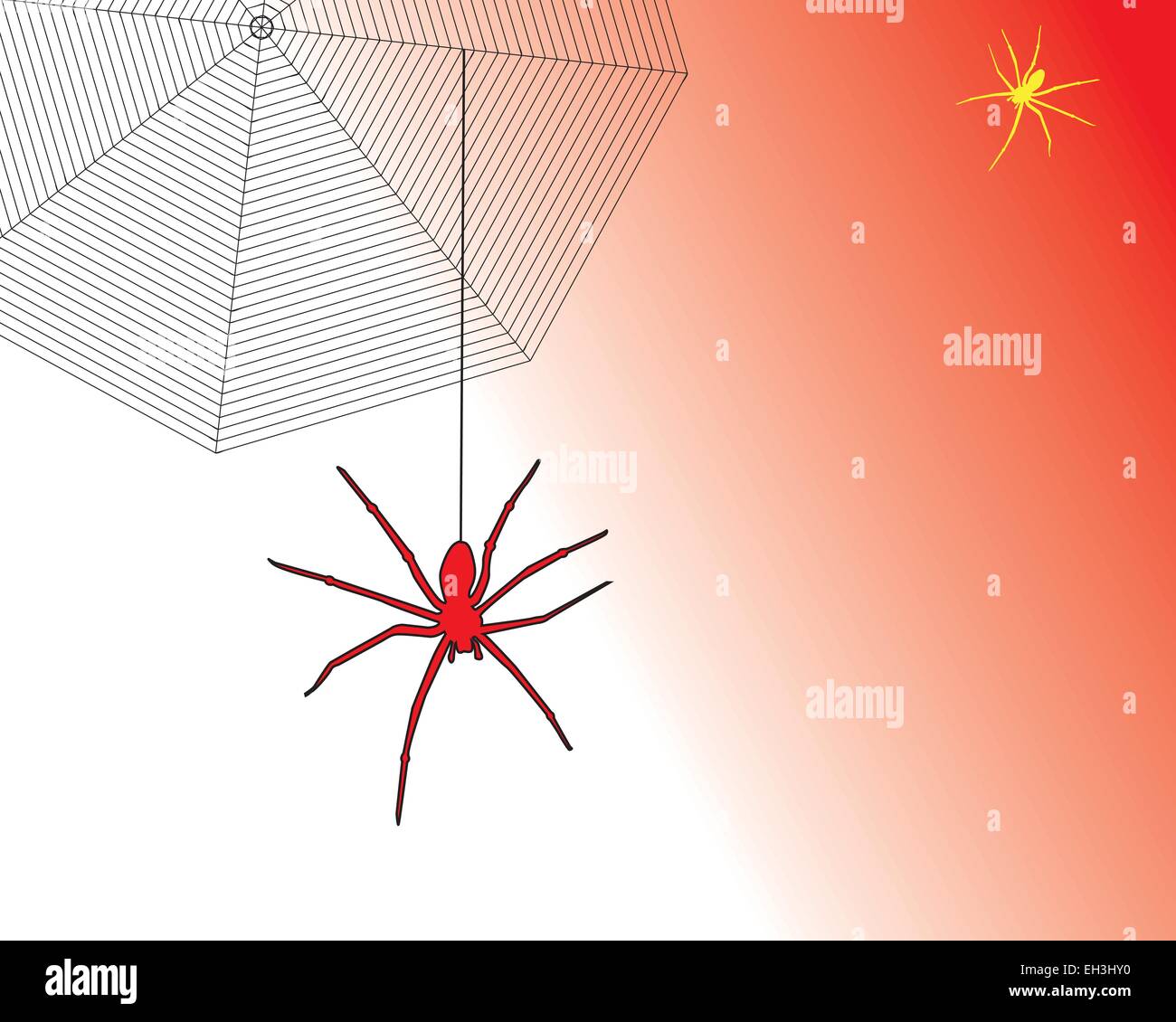 Spider in spiderweb hanging Stock Vector Images - Alamy