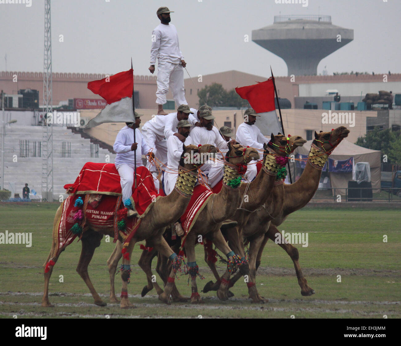 Horse and cattle show pakistan hi-res stock photography and images - Alamy