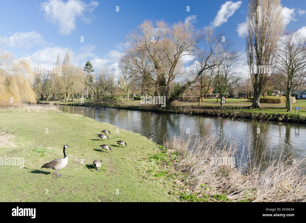 River tame hi-res stock photography and images - Alamy