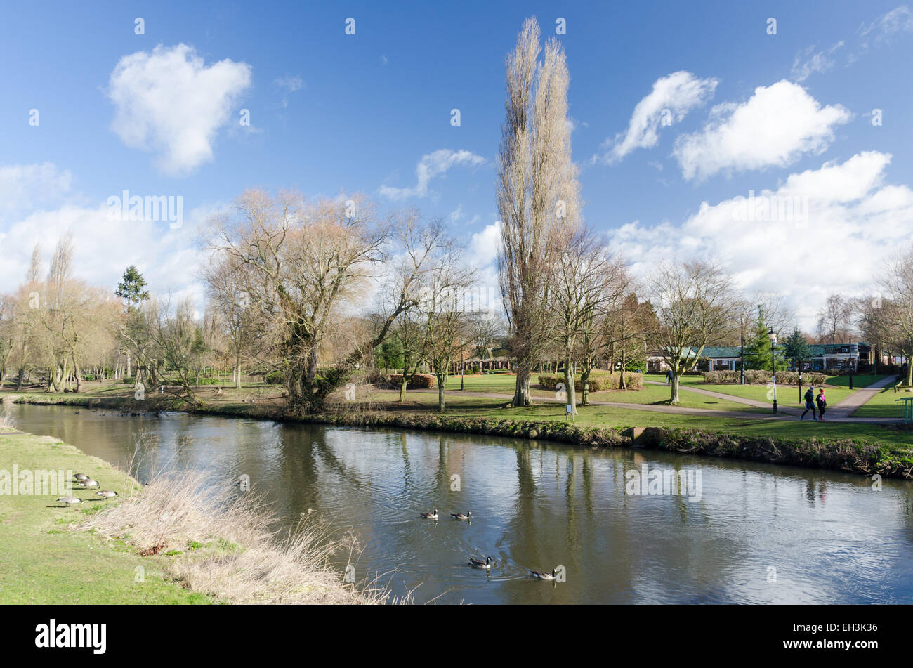 The River Tame flowing through Tamworth Pleasure Grounds Stock Photo ...