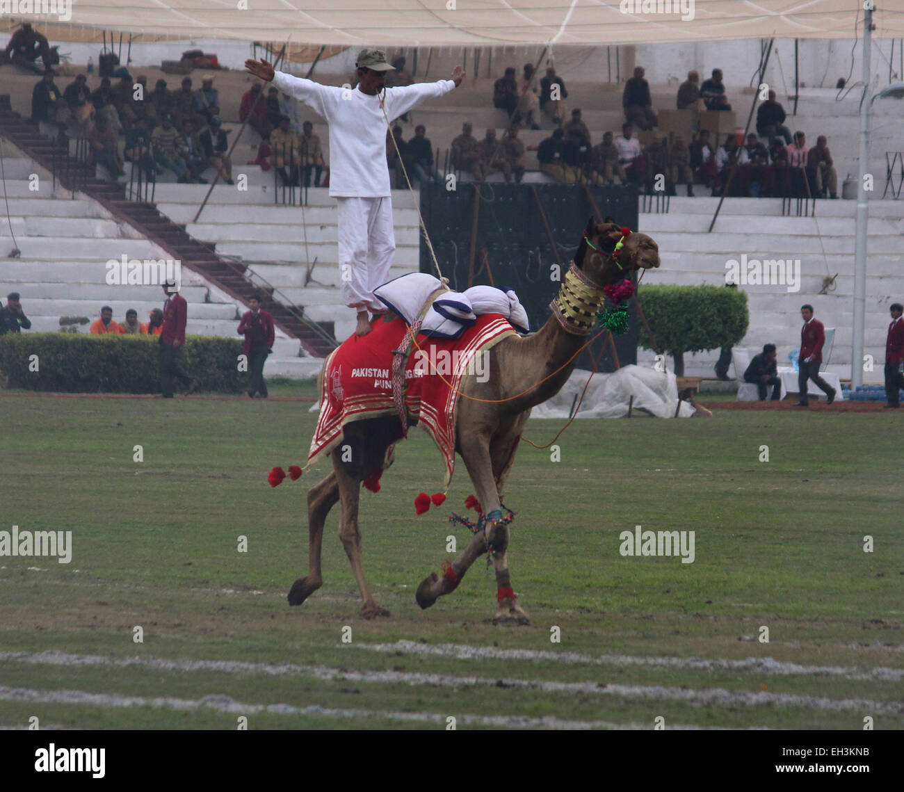 Horse and cattle show pakistan hi-res stock photography and images - Alamy
