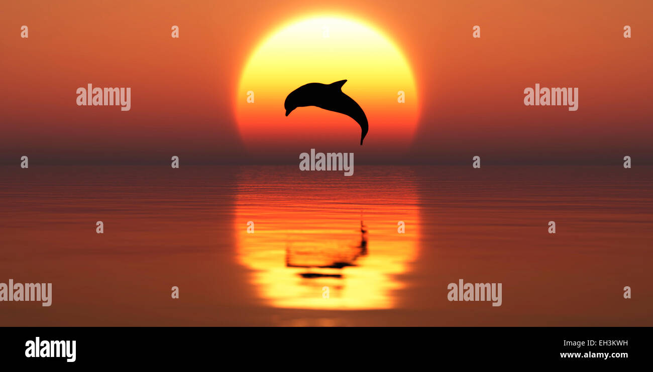 Dolphin jumping backlight and sunset Stock Photo - Alamy