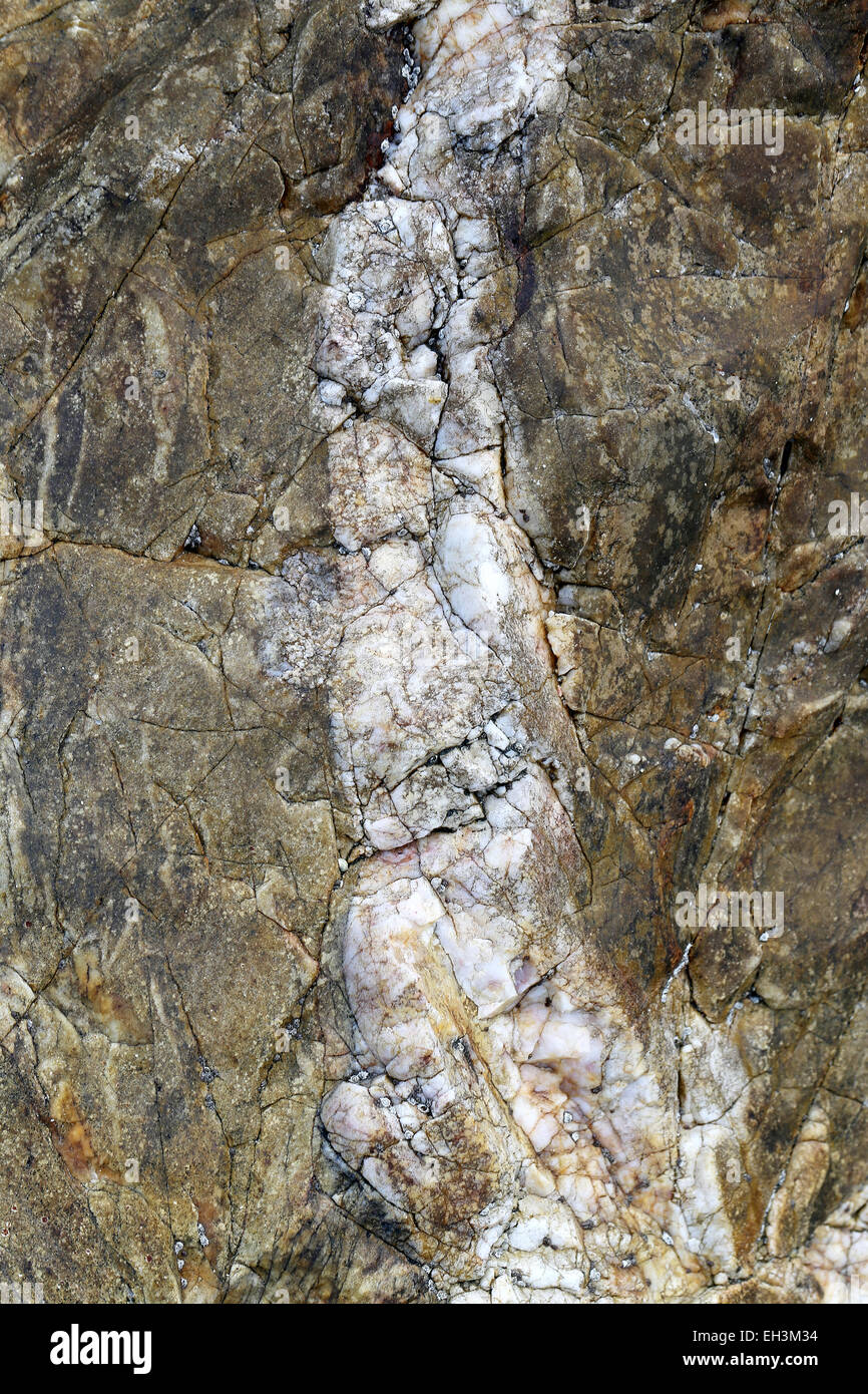 photo background brown a unusual shaped stones Stock Photo - Alamy