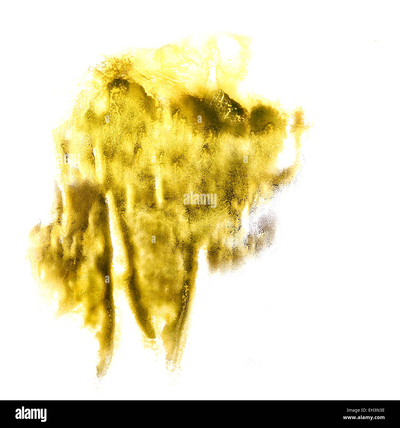 stain yellow with watercolour paint stroke watercolor isolated Stock ...
