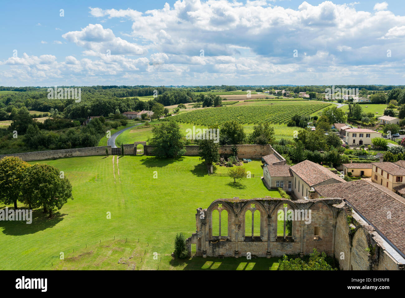 Sauve majeur hi-res stock photography and images - Alamy