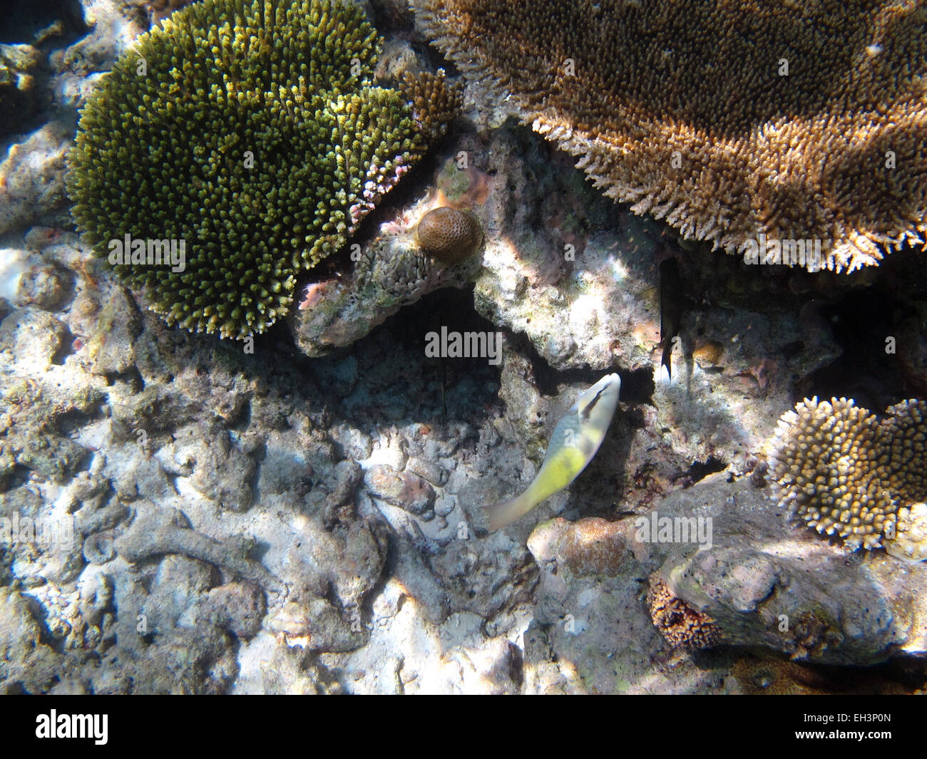 Reef lagoon hi-res stock photography and images - Alamy
