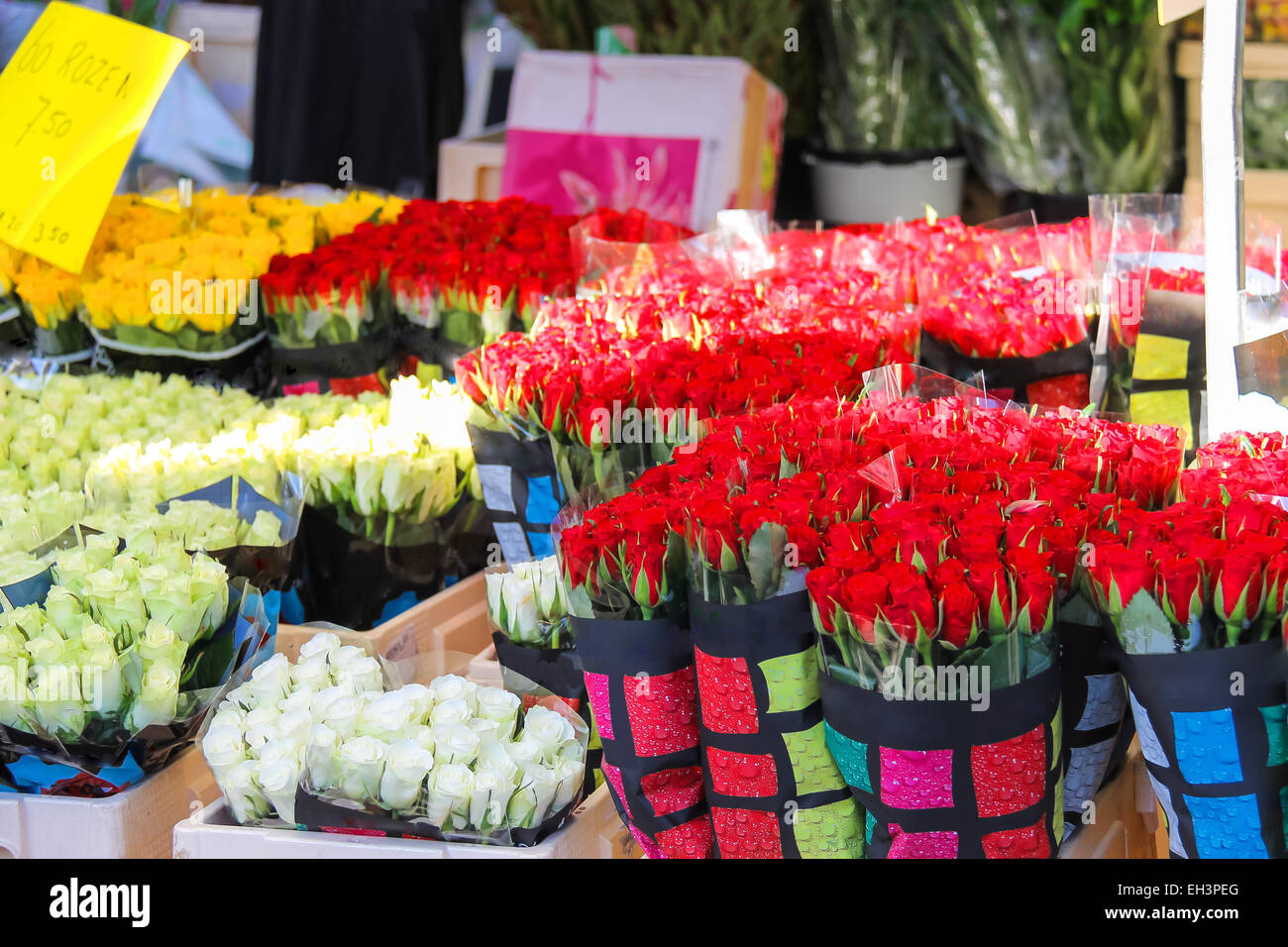 Flowers for sale at a Dutch flower market, Netherlands Stock Photo - Alamy