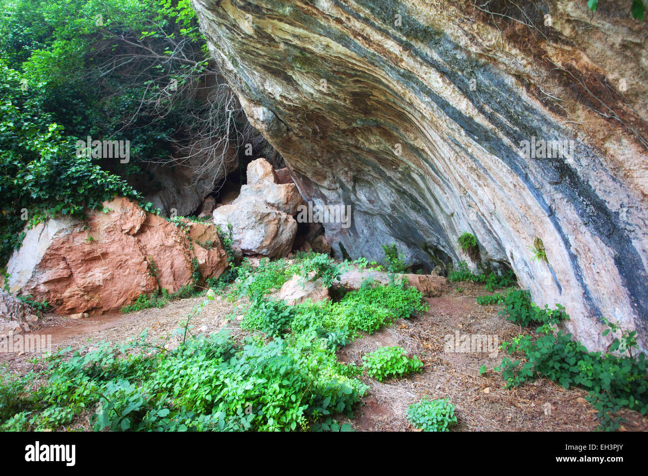 Paleolithic Shelter