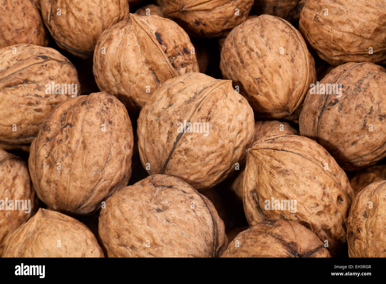 Walnuts closeup hi-res stock photography and images - Alamy