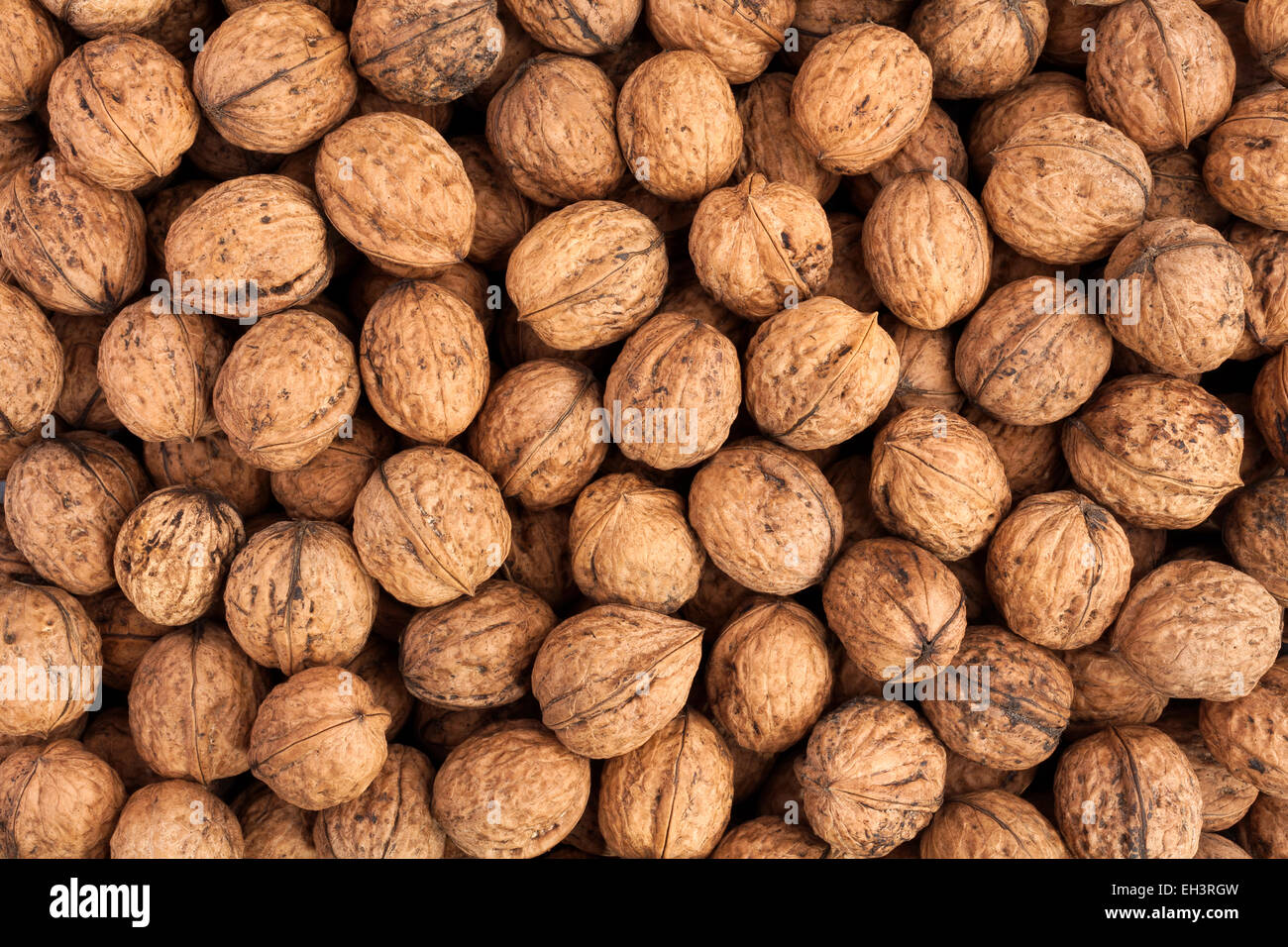 Walnut shell texture hi-res stock photography and images - Alamy