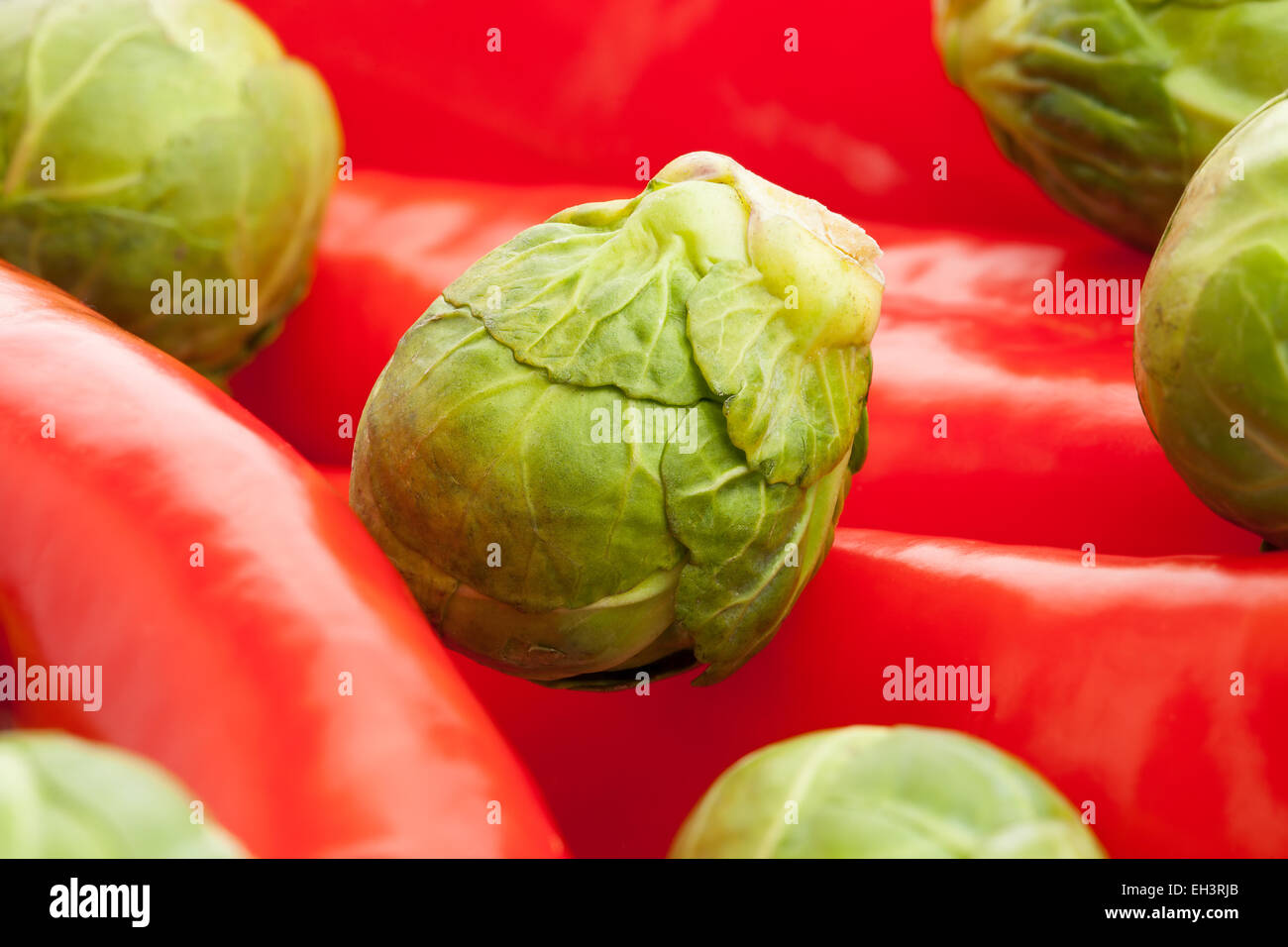 Brussels sprout red hi-res stock photography and images - Alamy