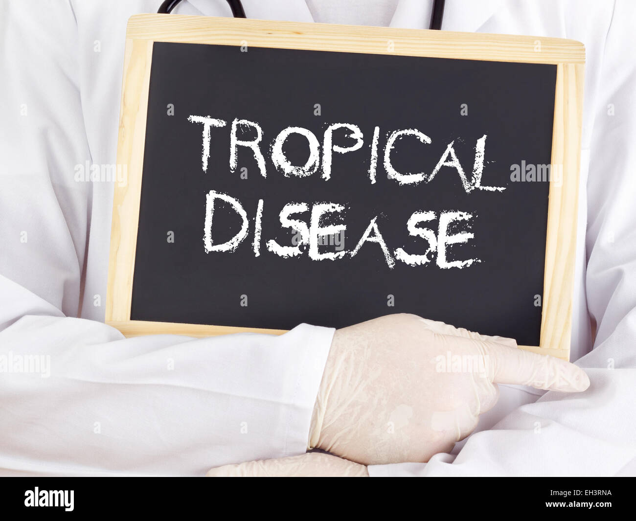 Doctor shows information on blackboard: Tropical disease Stock Photo ...