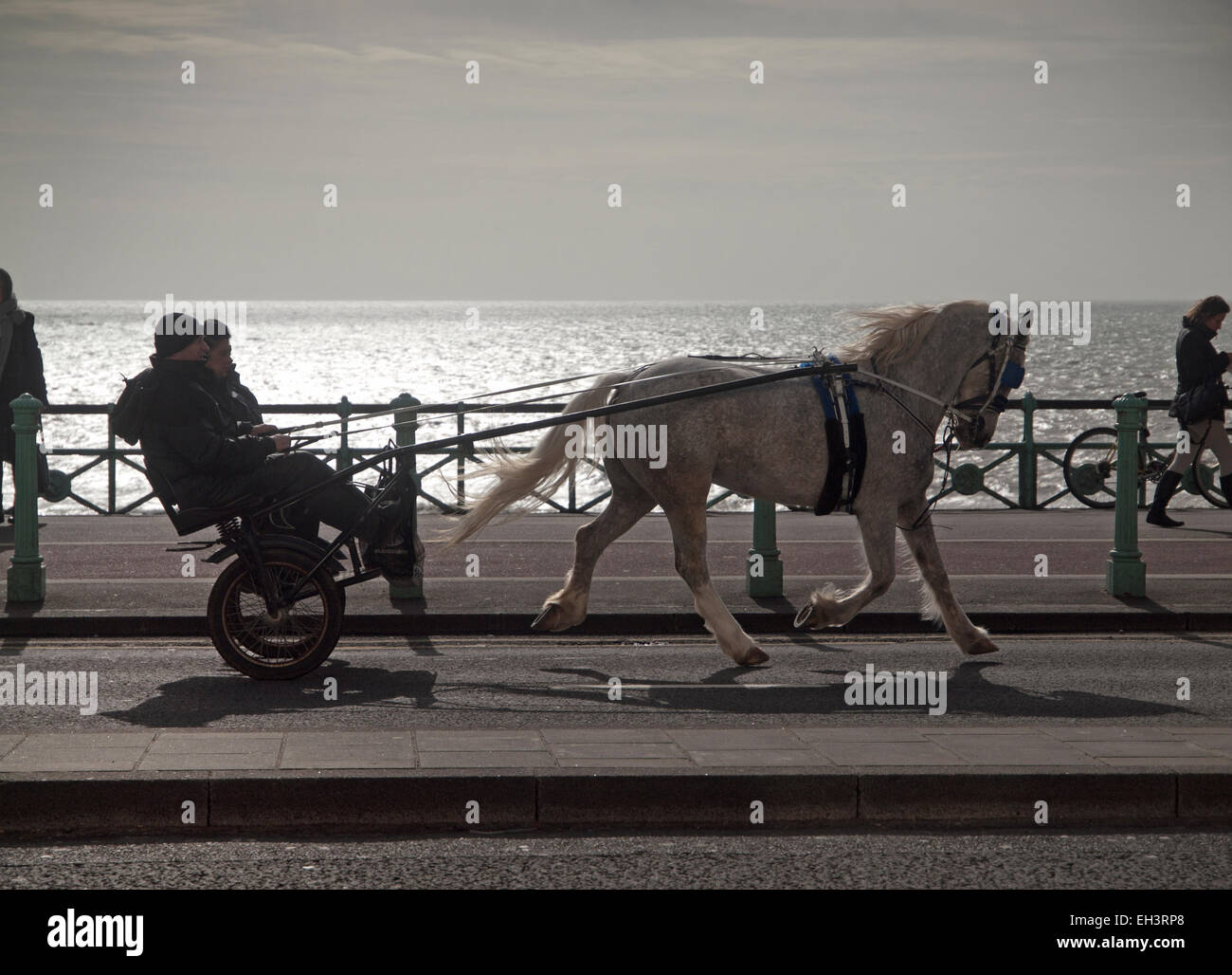 A horse and carriage speed along the Brighton seafront Stock Photo - Alamy