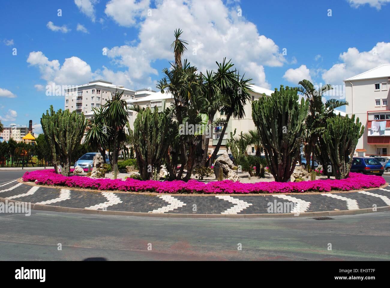 Traffic island with pink flowers and cactus plants, Gibraltar, United ...