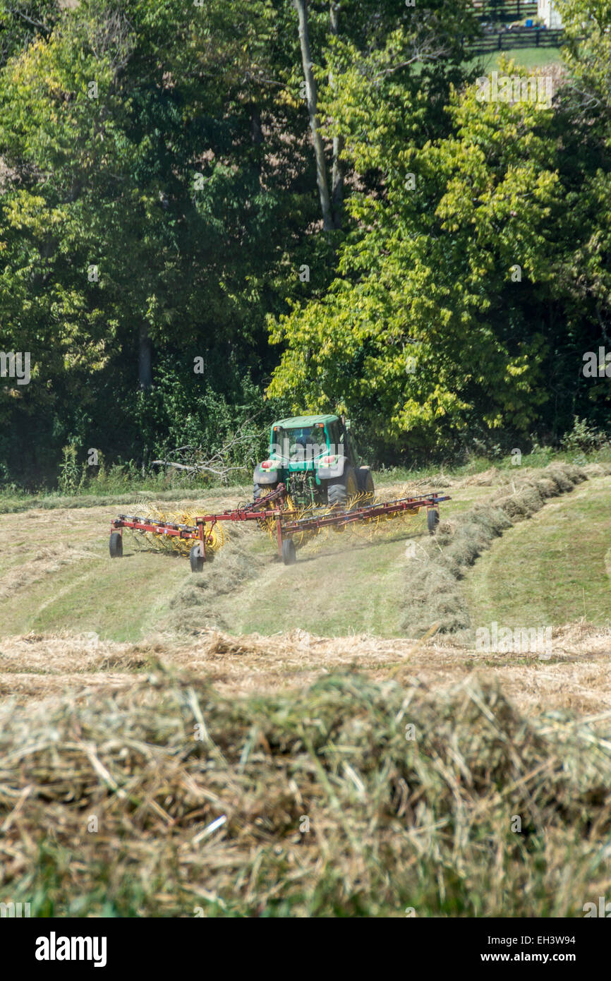 Farmer raking hay with a tractor in a field in the Blue Grass area of ...