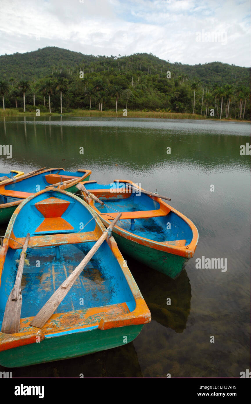 Colourful rowing boats on a Lake enroute to Viñales, Cuba Stock Photo ...