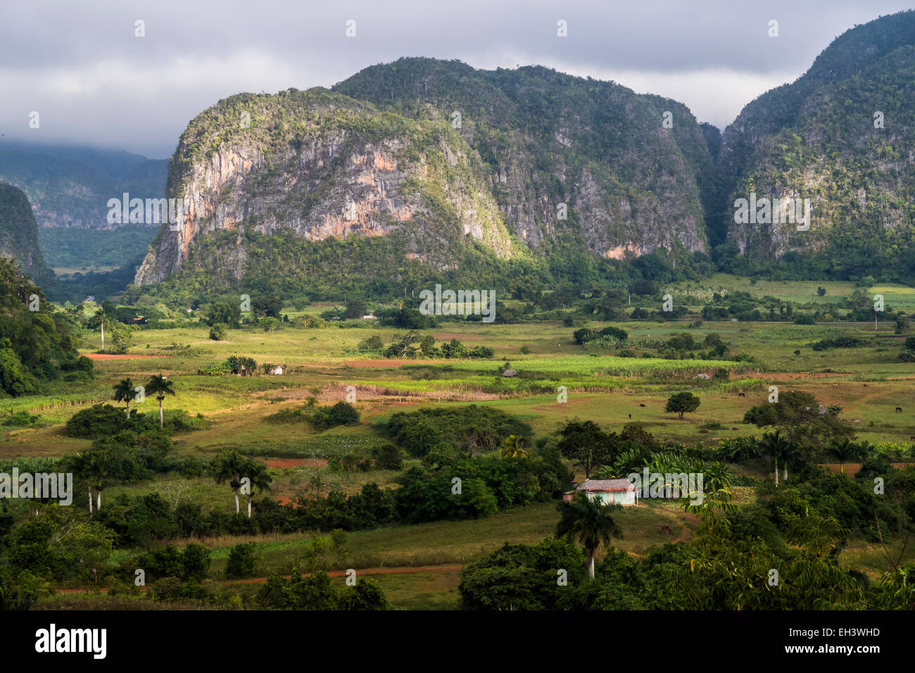 Typical view mogotes huge karst hi-res stock photography and images - Alamy