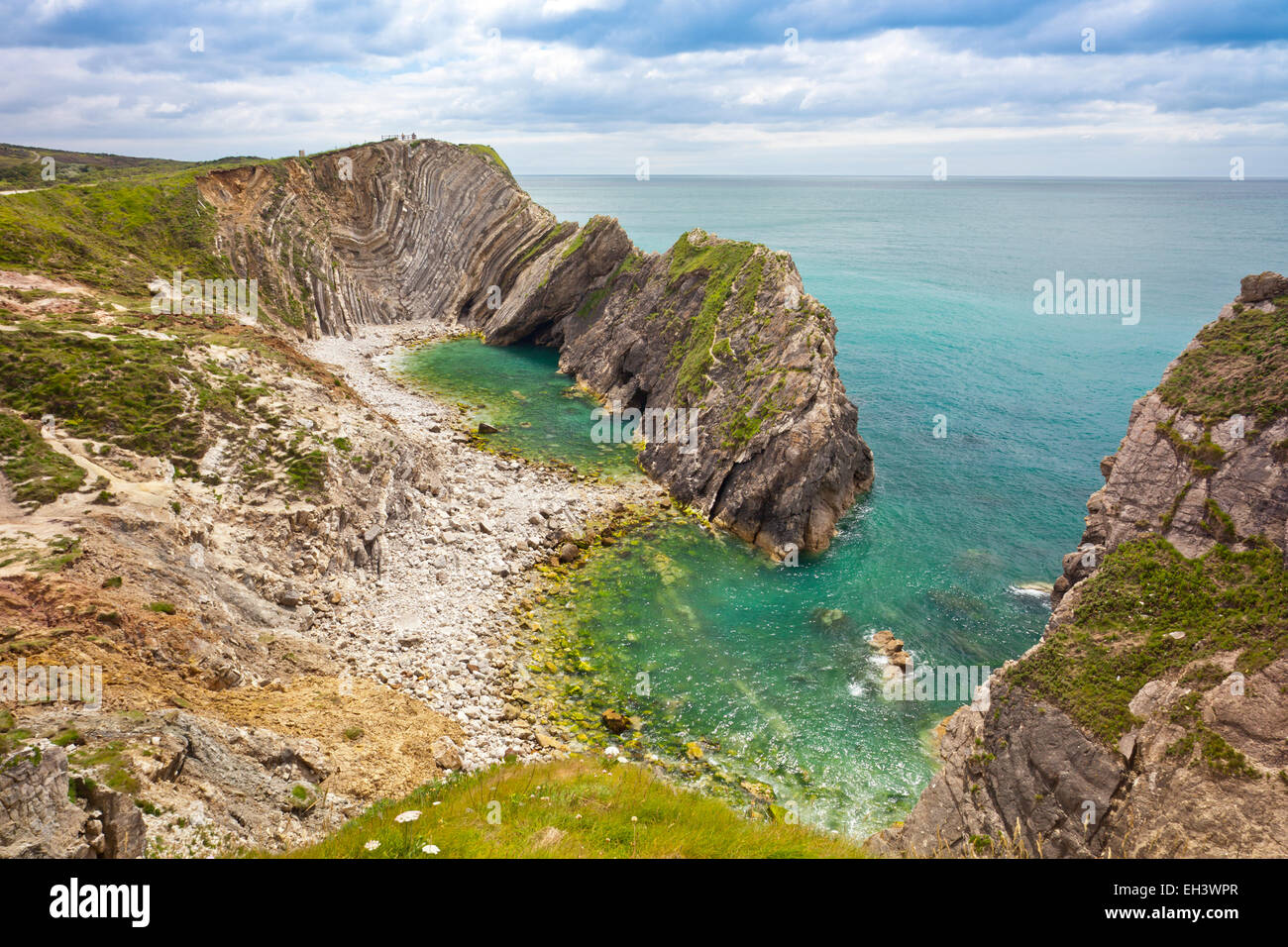 The folded strata layers known as the Lulworth crumple at Stair Hole on ...