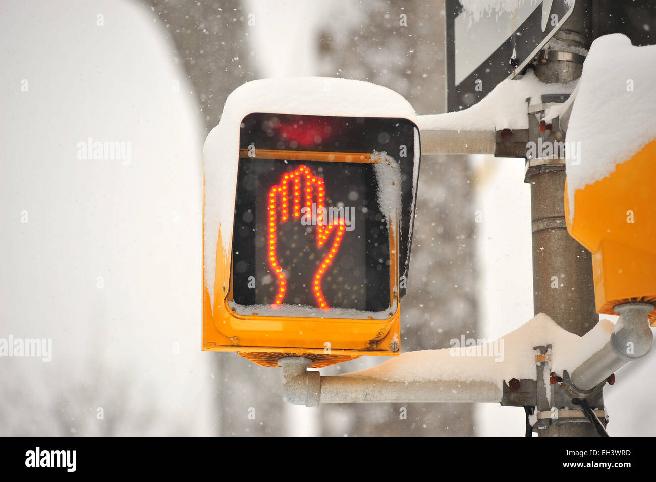 A snow covered pedestrian crossing signal indicating not to cross Stock ...