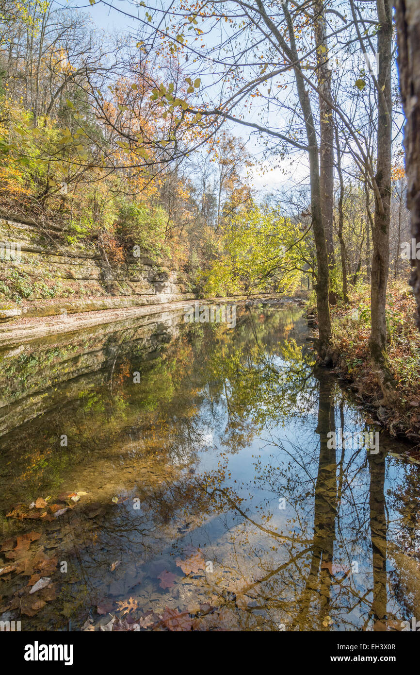 Colorful fall trees on a stream in the Lower Howard's Creek Nature and ...