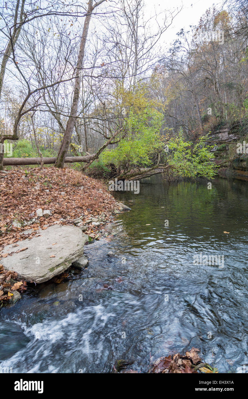 Colorful fall trees on a stream in the Lower Howard's Creek Nature and ...