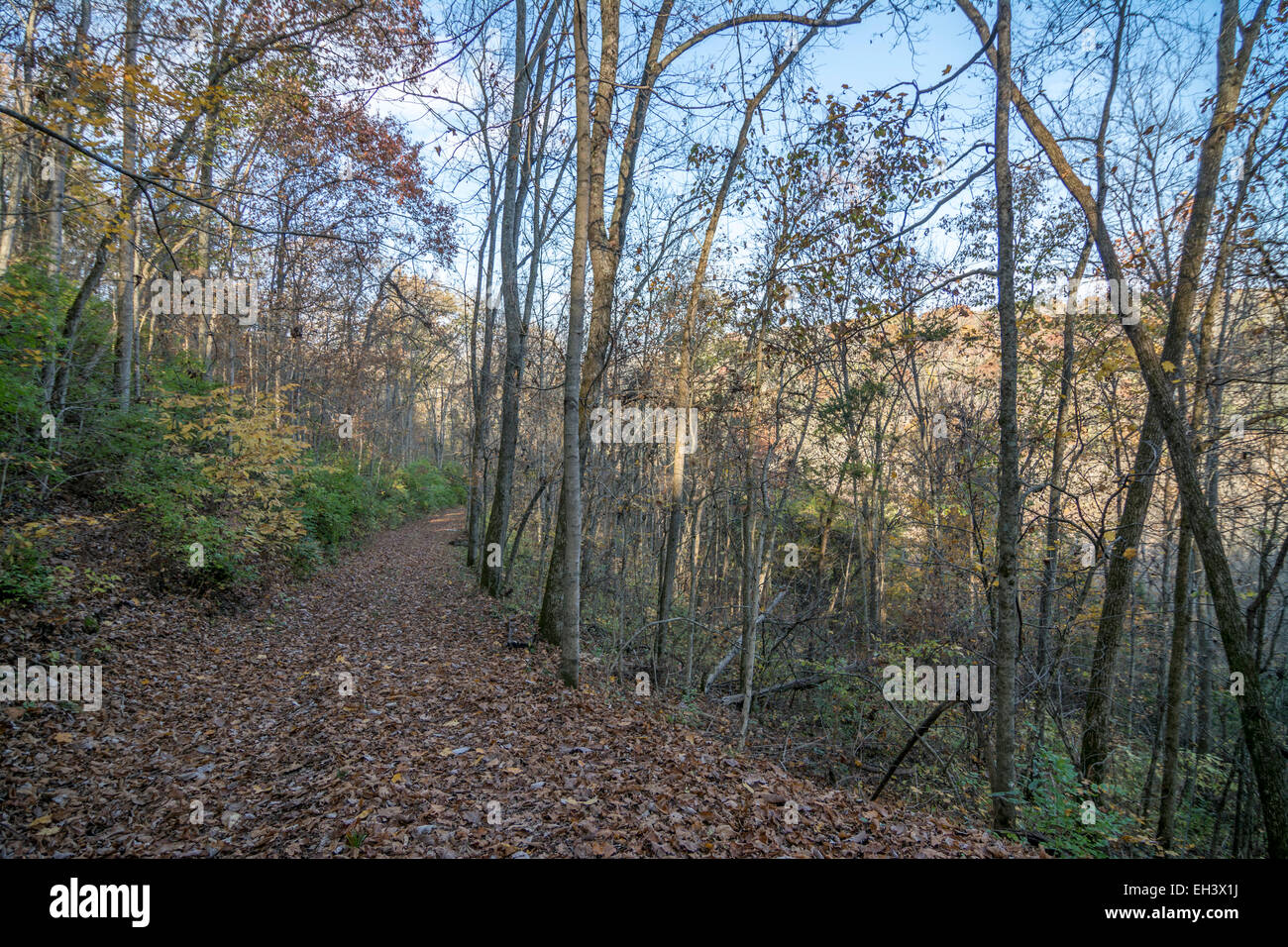 Forest heritage scenic byway hi-res stock photography and images - Alamy
