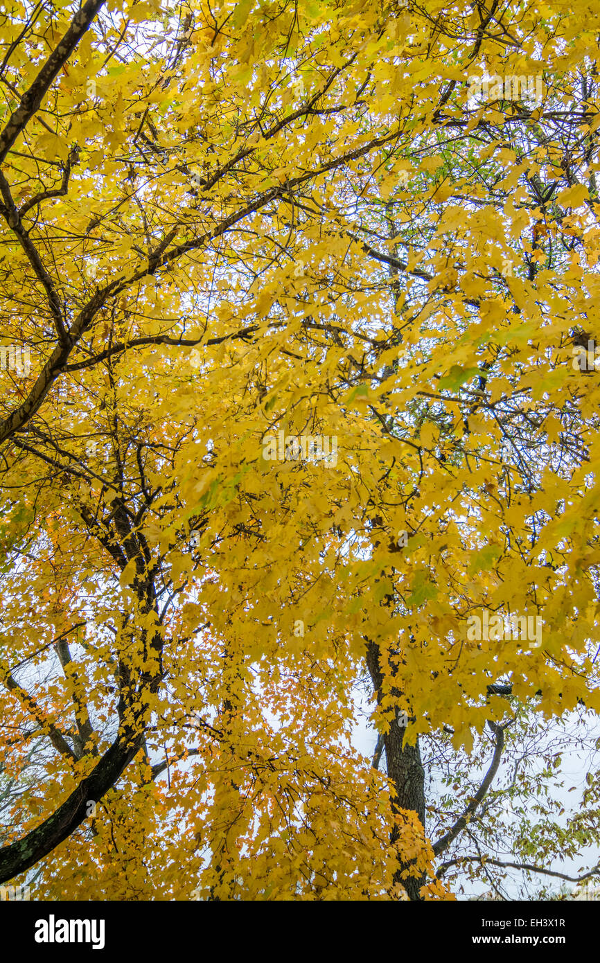 Palisades kentucky hi-res stock photography and images - Alamy