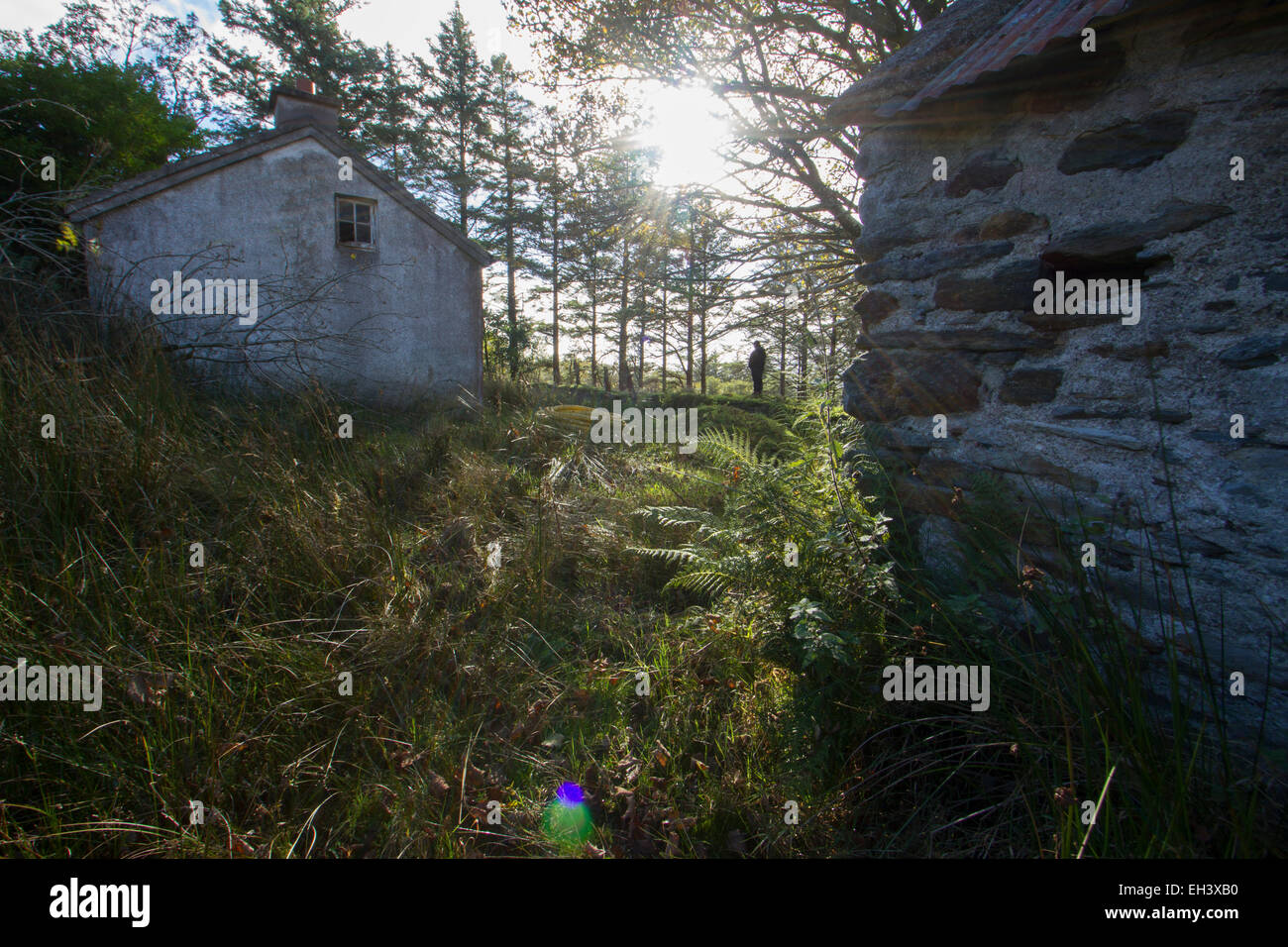 Derelict abandoned old irish cottage hi-res stock photography and ...