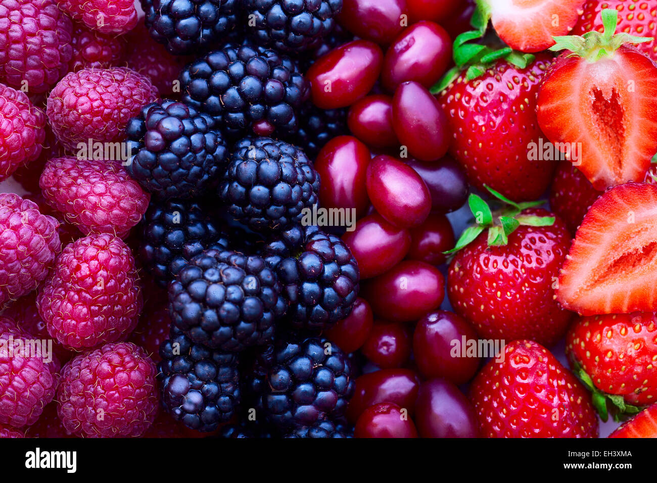 strawberries, dogwood, blackberries and raspberries, top view Stock ...