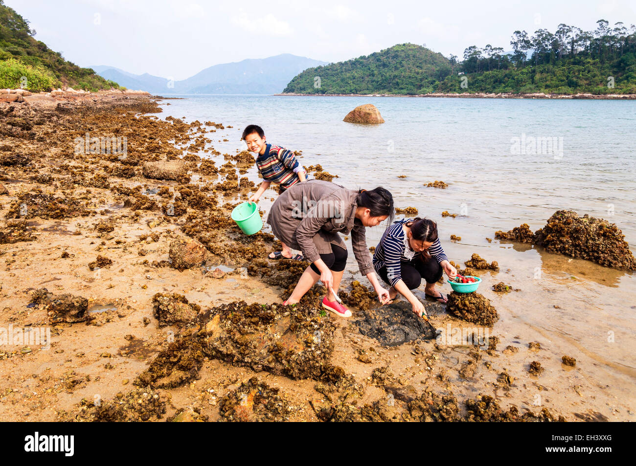 People children digging for shellfish at Star Fish Bay, New Territories ...