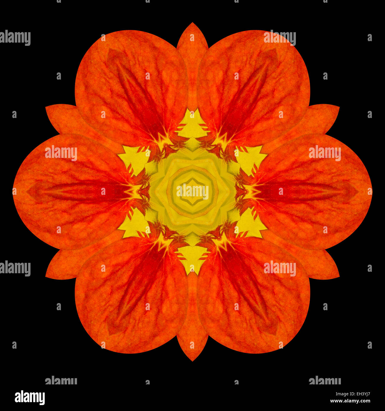 Red Flower Mandala. Kaleidoscopic design Isolated on Black Background ...