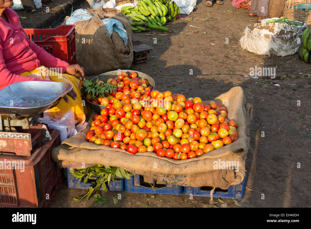 Tomato Vendor at a vegetable market in Secunderabad,India Stock Photo ...