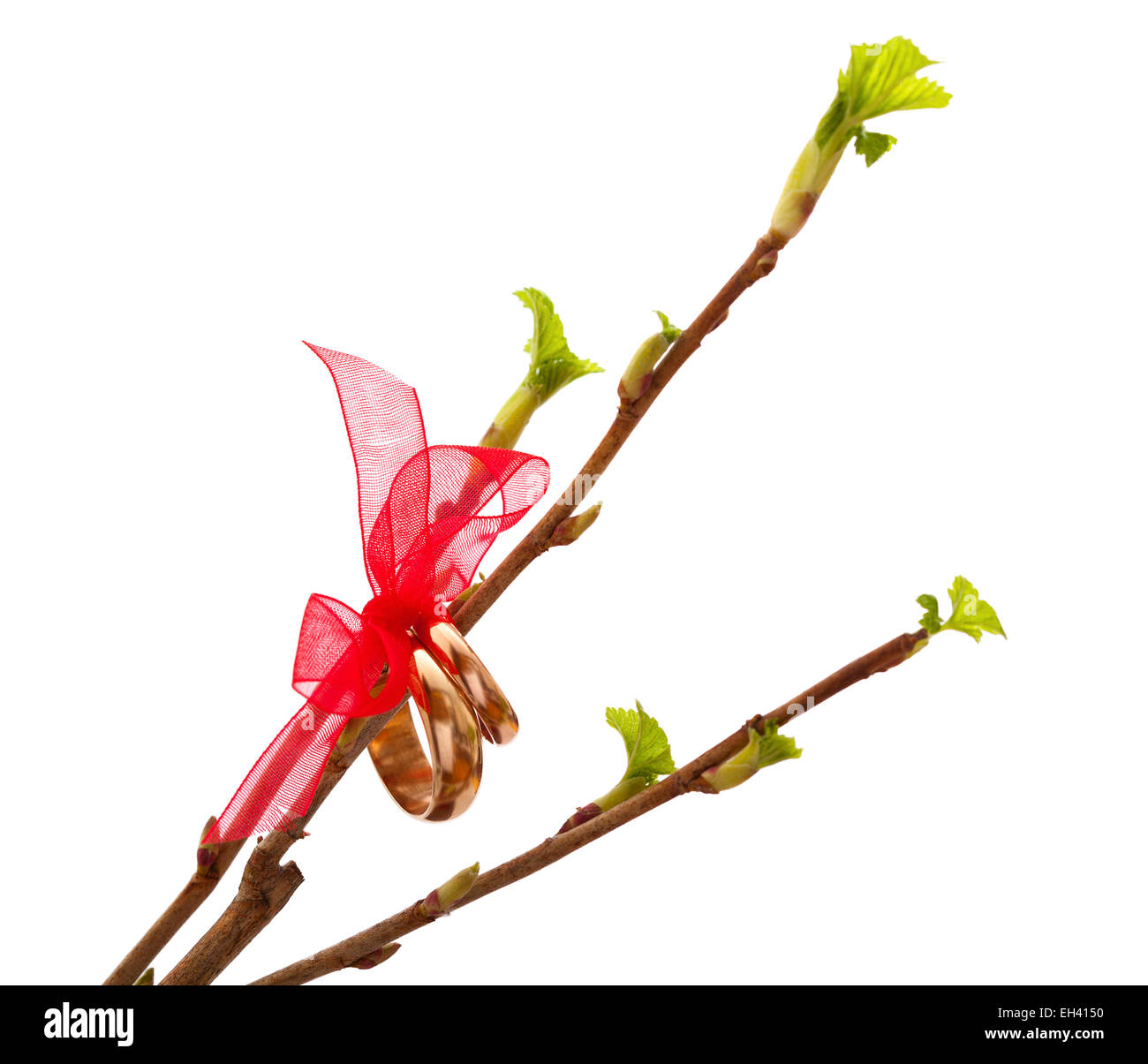 Wedding rings and ribbon hi-res stock photography and images - Alamy