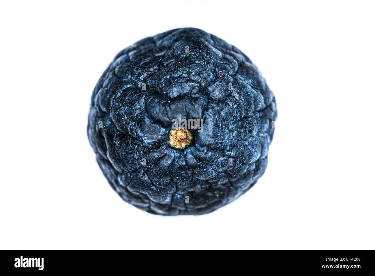 Rotten berries hi-res stock photography and images - Alamy