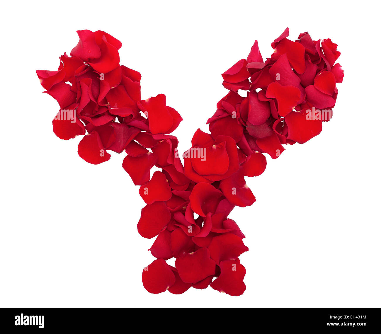 Letter rose petals of flowers Stock Photo - Alamy