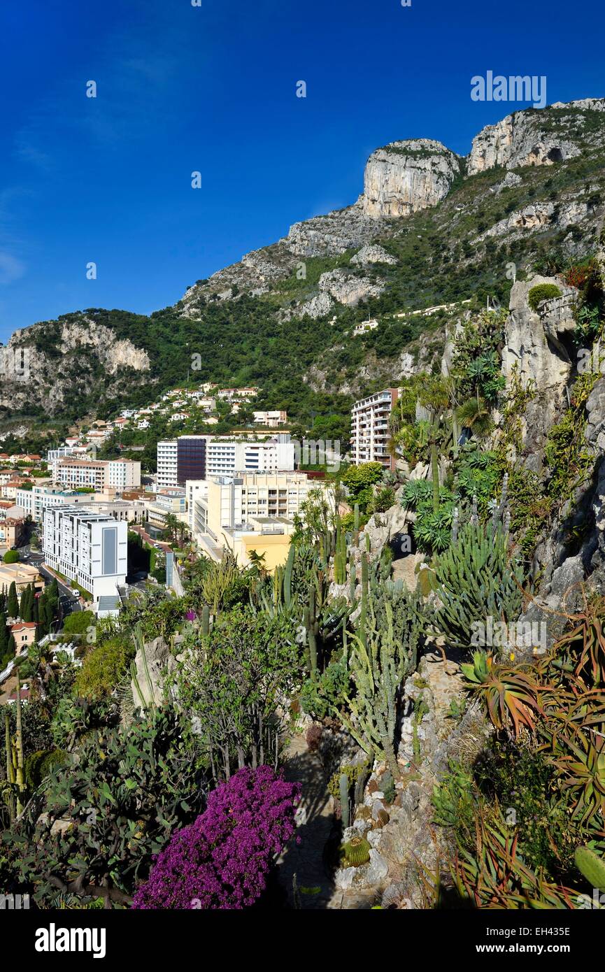 Principality of Monaco, Monaco, La Condamine district, the Exotic ...
