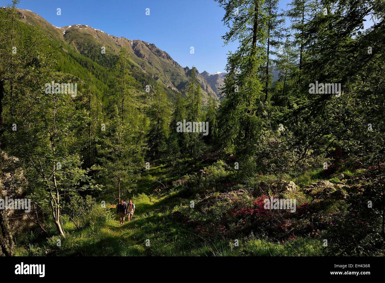 France, Alpes Maritimes, Parc National du Mercantour (Mercantour ...