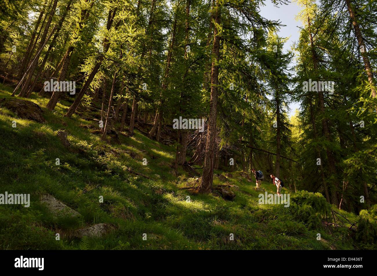 France, Alpes Maritimes, Parc National du Mercantour (Mercantour ...