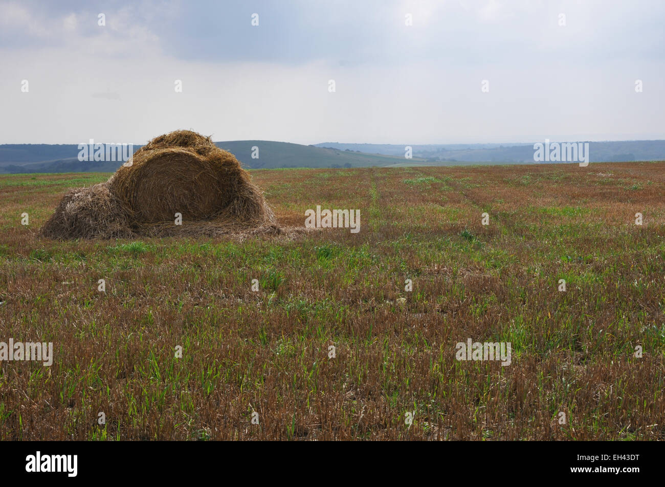 Pile of hay hi-res stock photography and images - Alamy