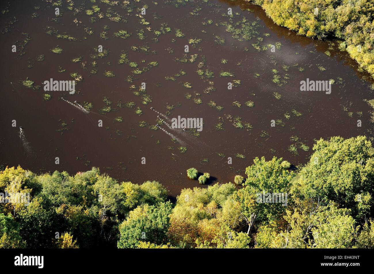 Cottereau hi-res stock photography and images - Alamy