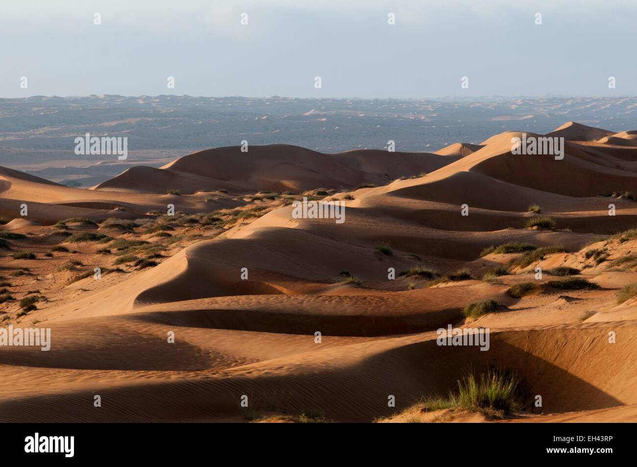 Oman, Wahiba Sands desert Stock Photo - Alamy