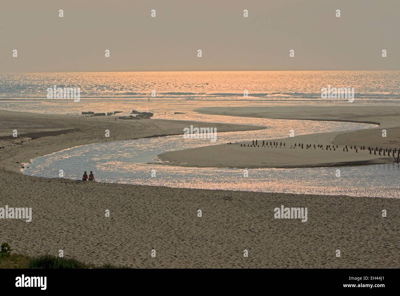 France, Landes, Moliets et Maa, the estuary of the national nature ...