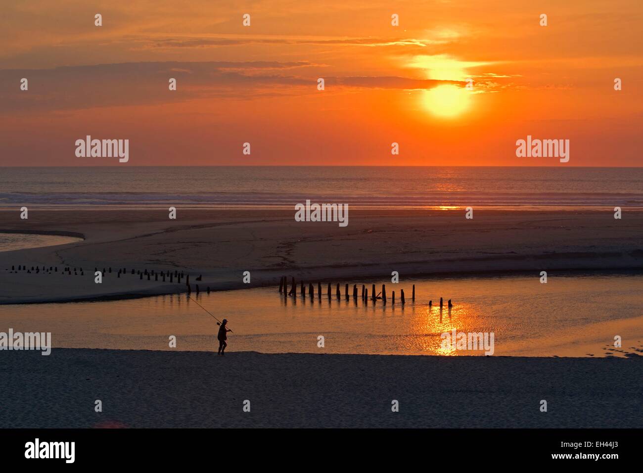 France, Landes, Moliets et Maa, the estuary of the national nature ...