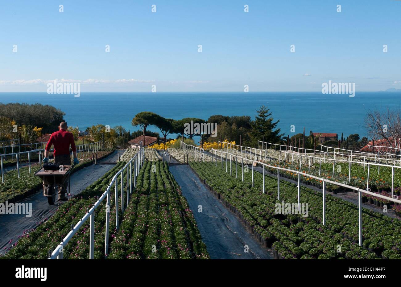 Bordighera italy hi-res stock photography and images - Alamy