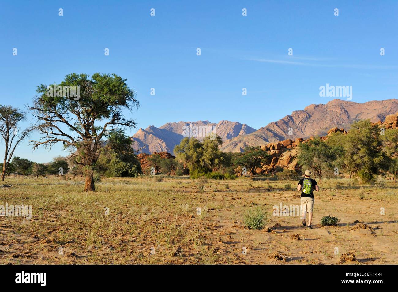 Namibia, Erongo region, Damaraland, Brandberg and Ugab river valley ...