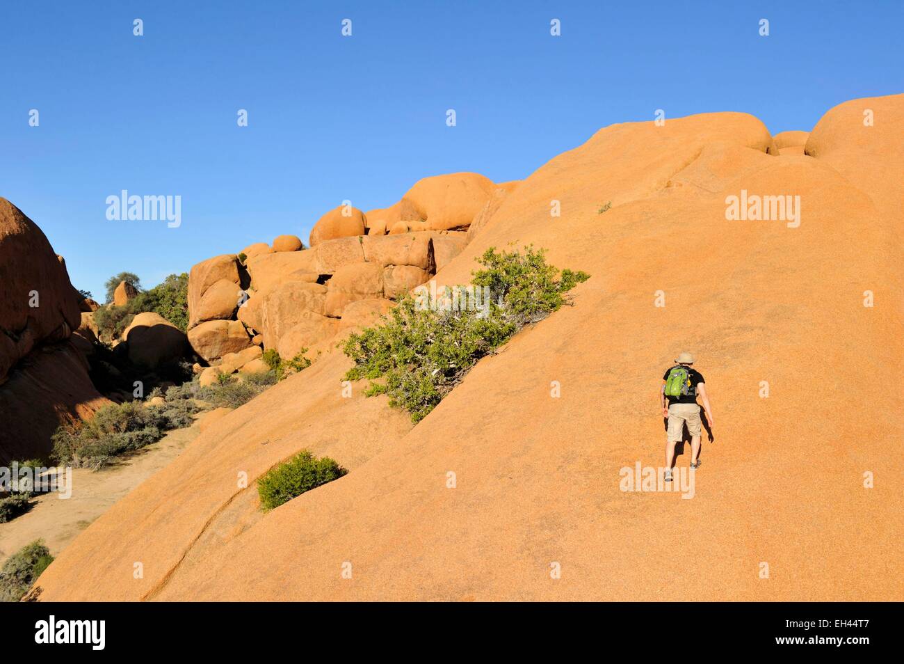 Namibia, Erongo region, Damaraland, Namib desert, Spitzkoppe or ...