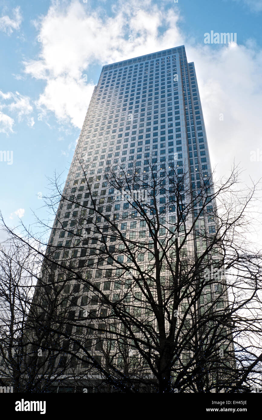 Canada Tower, an iconic Docklands building through bare branches Stock ...